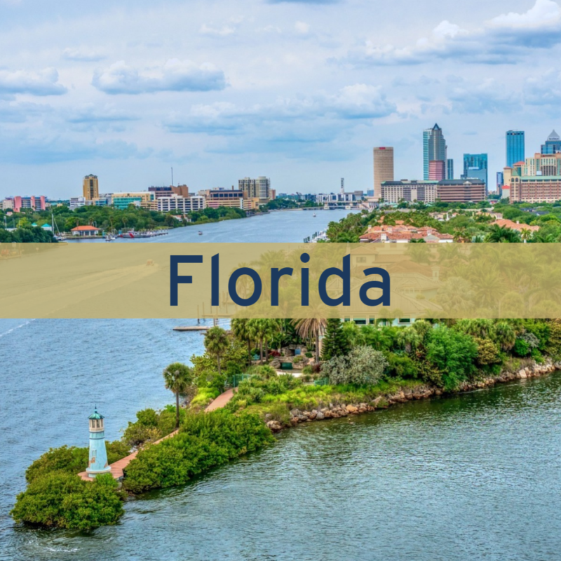 Home - FCS Security Services